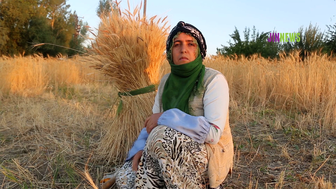 Turkey: Farmers in Van struggle to survive due to the drought and ...