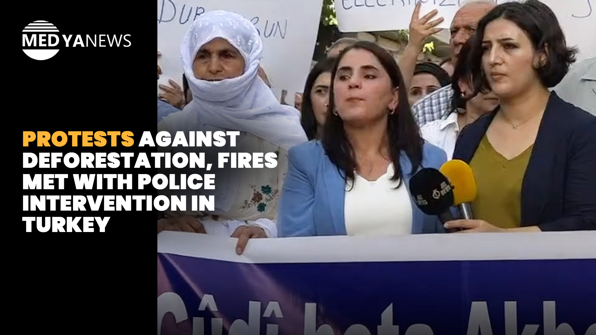 Protests against deforestation, fires met with police intervention in ...
