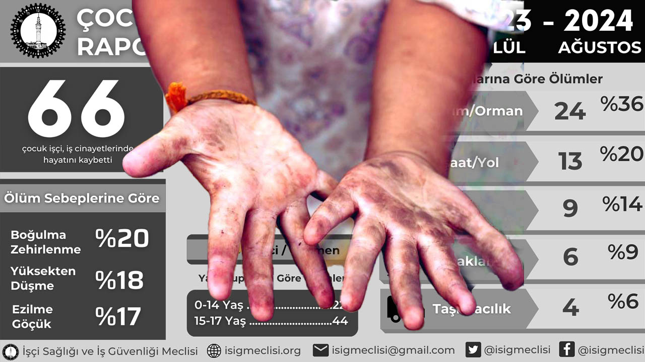 Report highlights child labour deaths in Turkey: Government’s MESEM ...